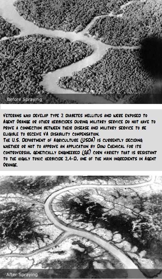 Agent Orange – Our End of the 'Net