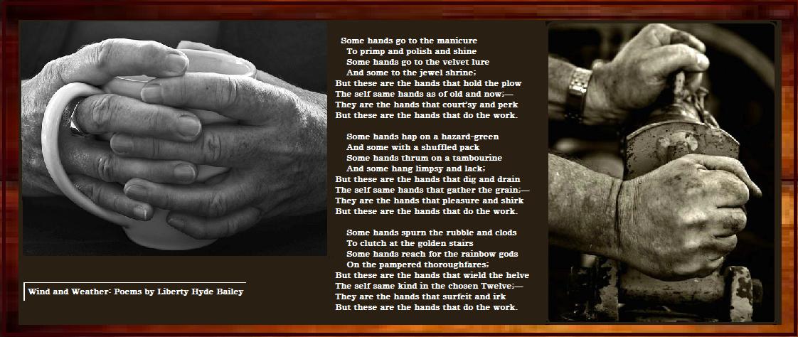 These Hands – Our End of the 'Net